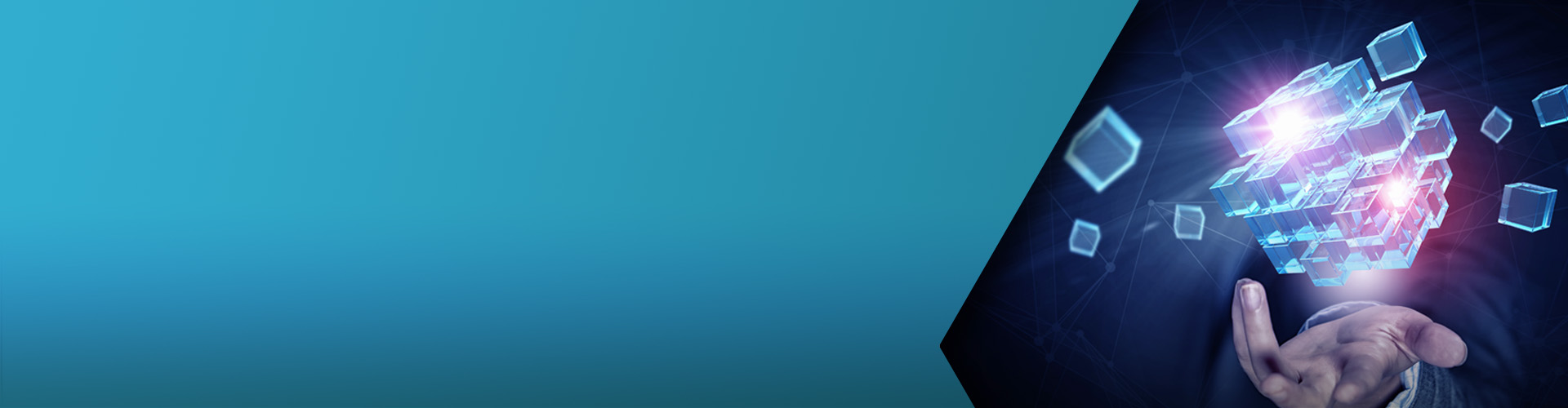 Enterprise Packages | AppLogic Networks